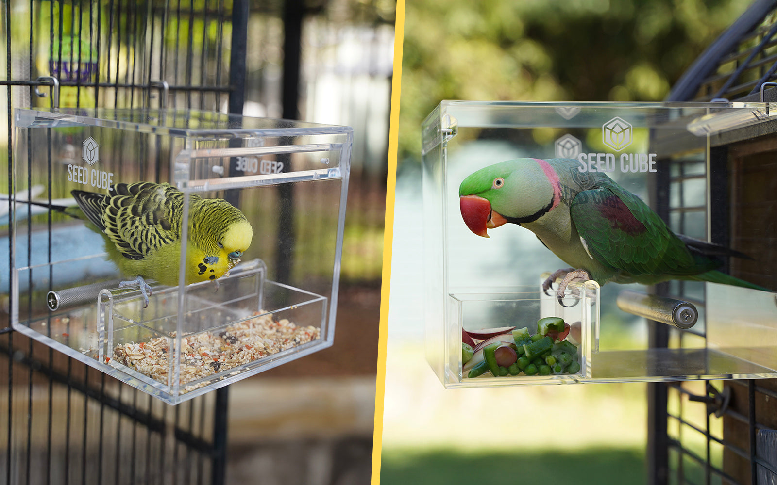 What Size Bird Feeder Do I Need? Seed Cube Size Guide by Bird Type