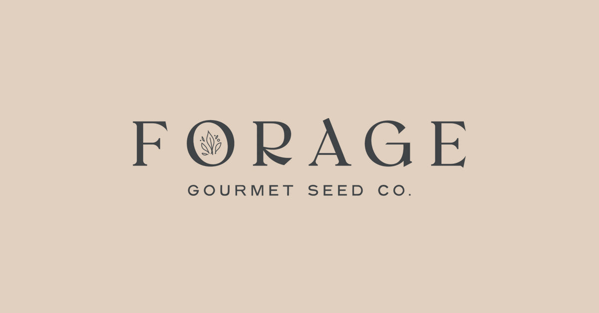 Shop Forage Gourmet Bird Seed Products – Seed Cube