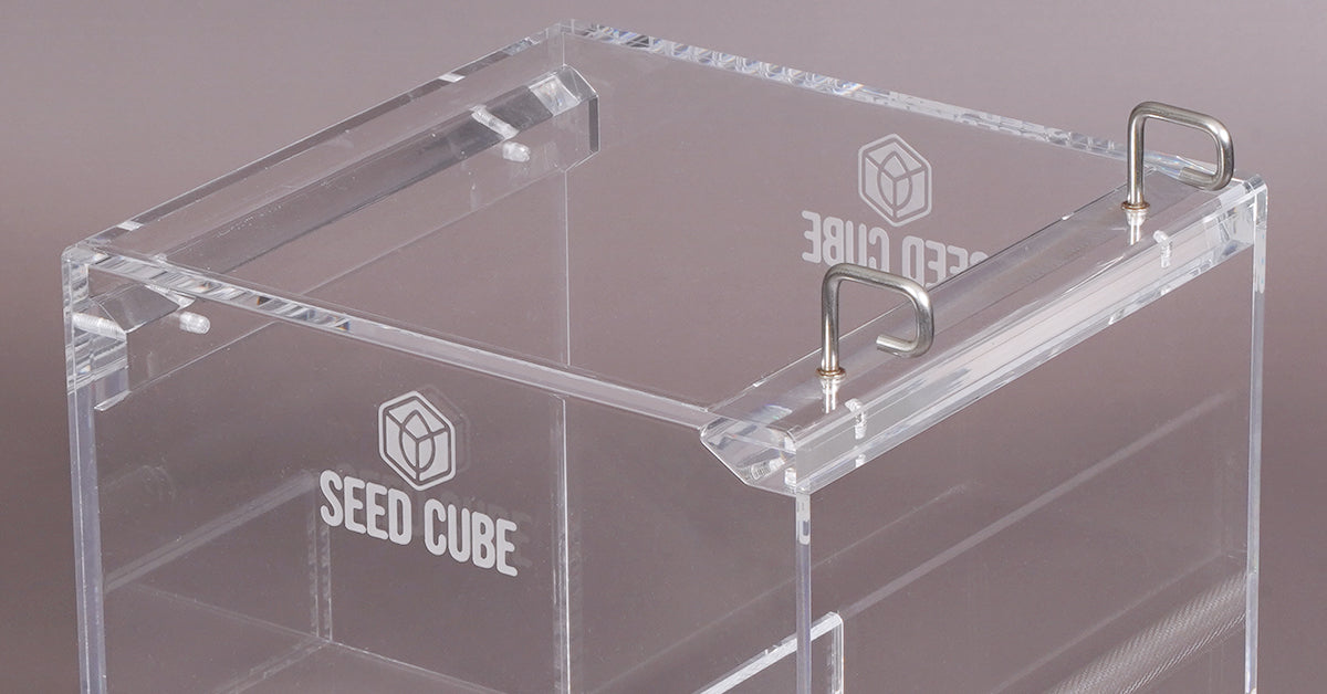 Seed Cube Bird Feeders – No Mess Bird Feeders for Small and Large Birds ...