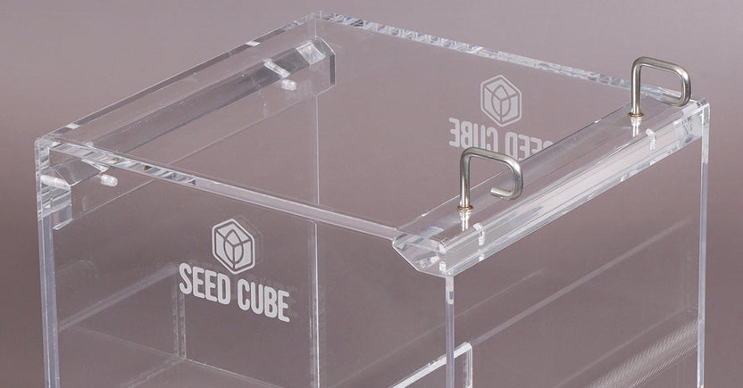 Large Seed Cube - Spacious, Durable Bird Feeder for Larger Birds
