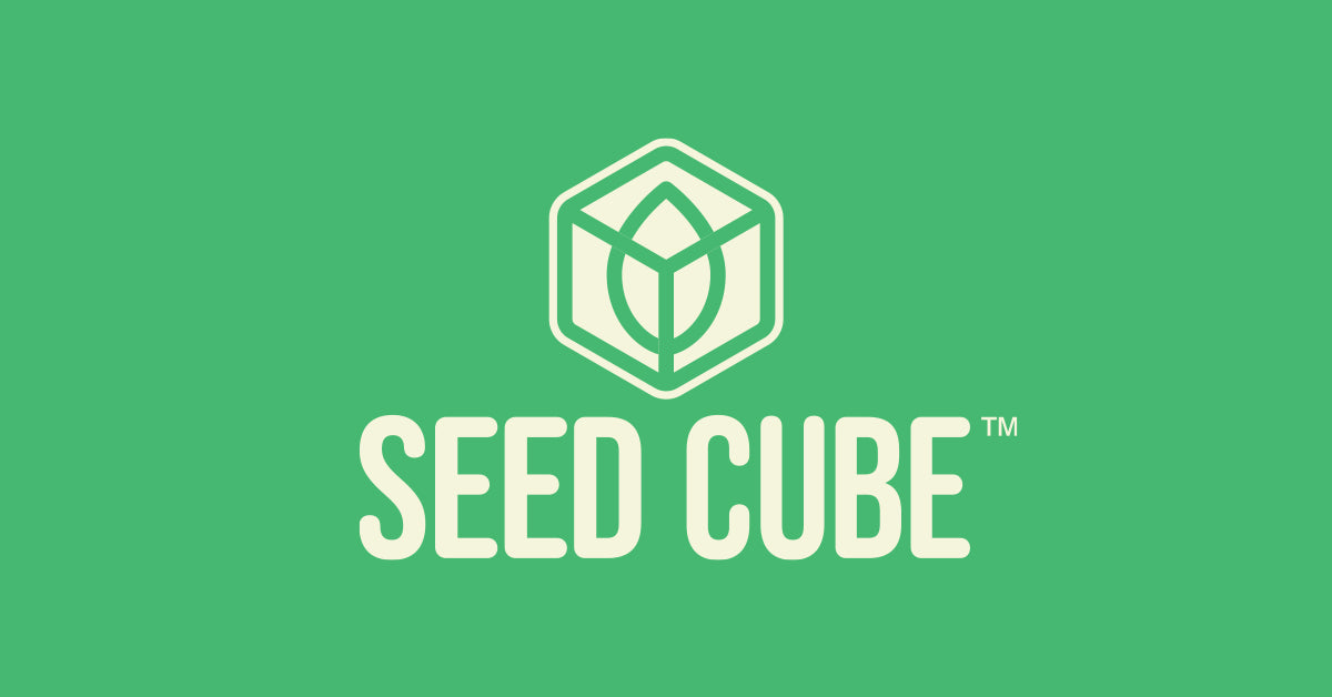 Seed Cube Bird Toys and Foraging Accessories – Enrichment for Small and ...