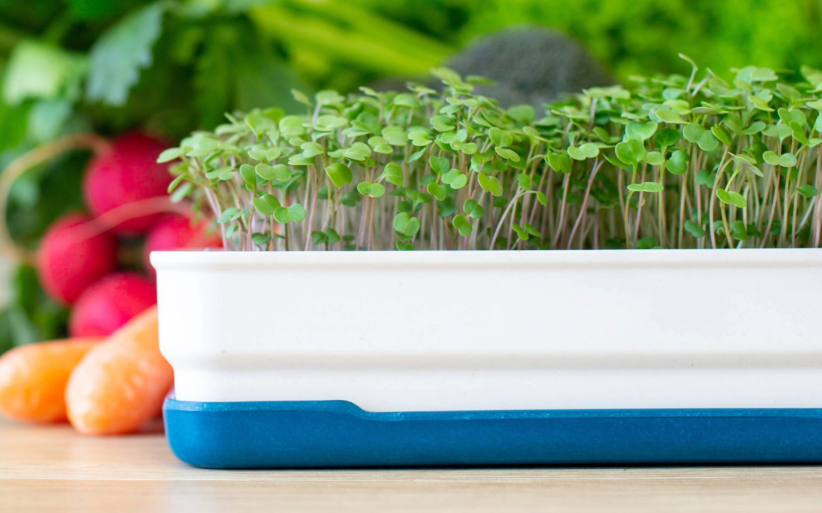 Micropod Microgreens Australia | Grow Kits, Seeds & Mats | Seed Cube