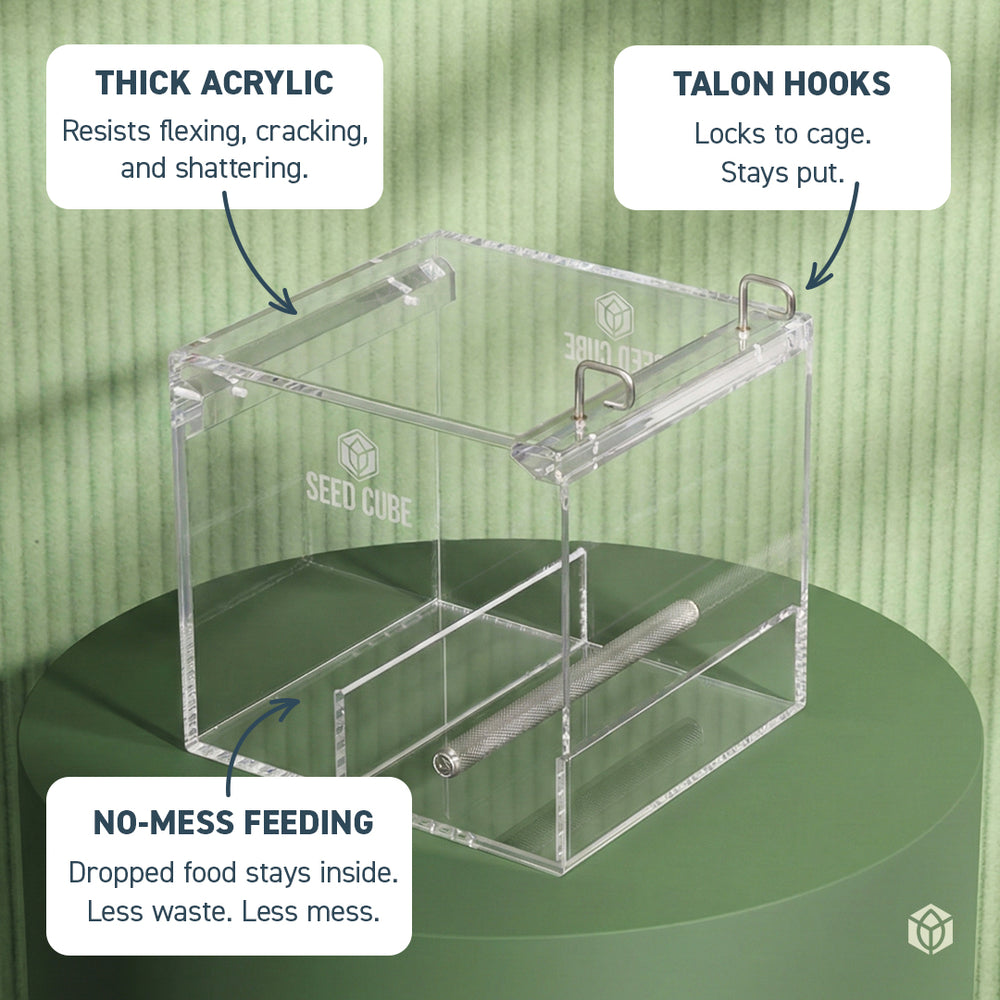 Small Seed Cube | No Mess Cage Bird Feeder for Small Parrots