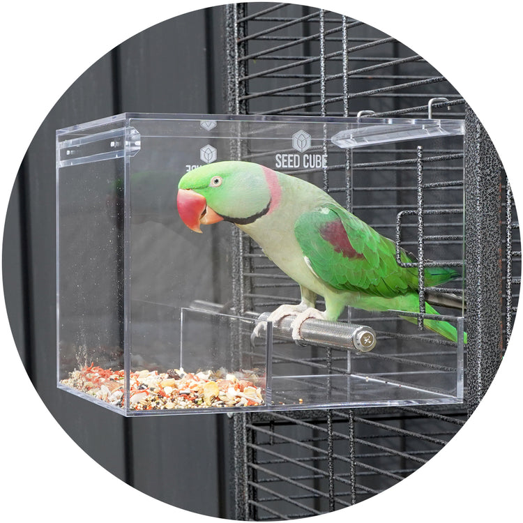 Seed Cube Size Guide | Which Size Fits Your Bird?