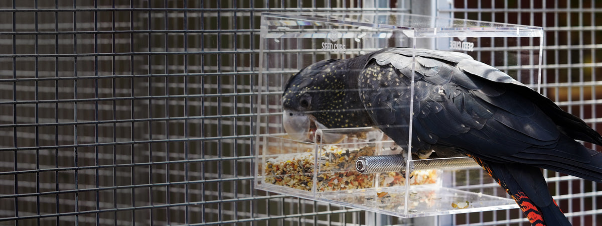 Seed Cube Australia | No Mess Cage Bird Feeders