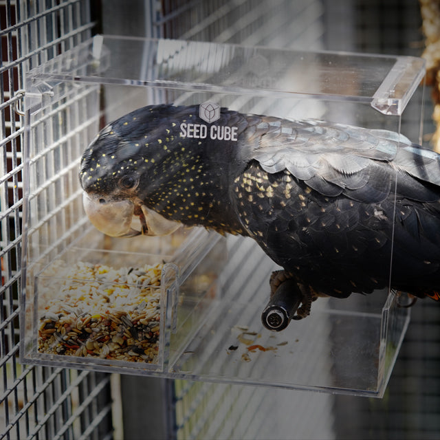 Seed Cube | No Mess Bird Feeders & Seed Containment Solutions