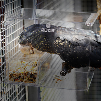 Seed Cube | No Mess Bird Feeders & Seed Containment Solutions